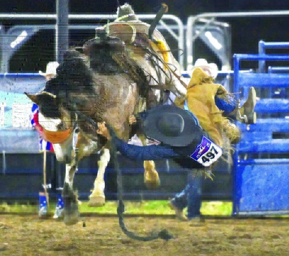 Bright lights, big bucks at Makawao Stampede | News, Sports, Jobs ...